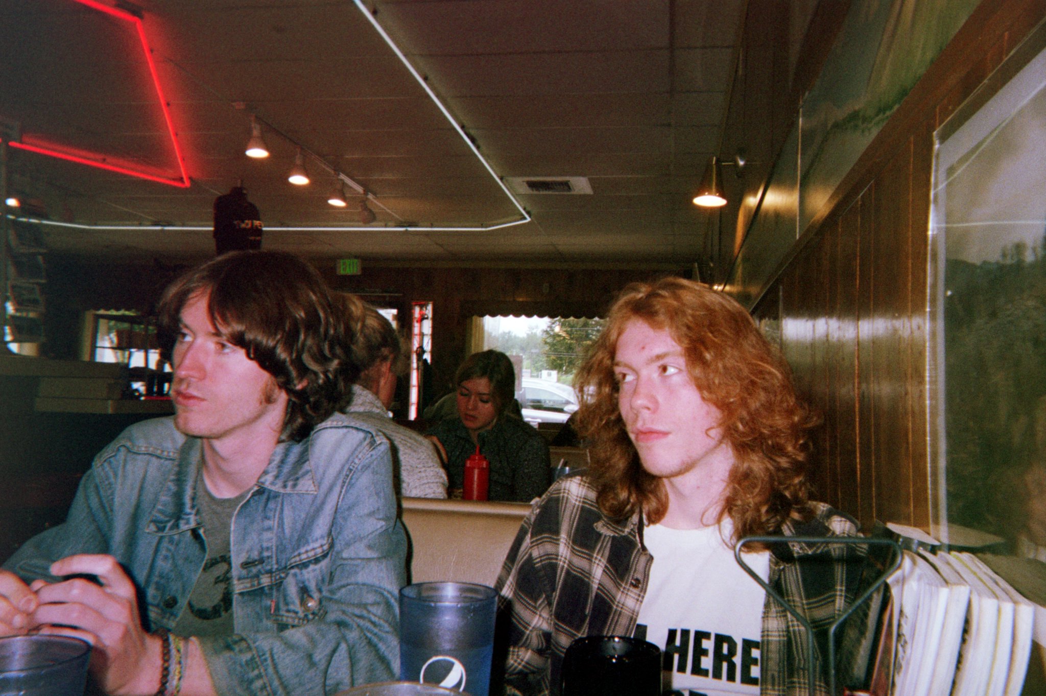 Asset0003 – The Old Grey Cat