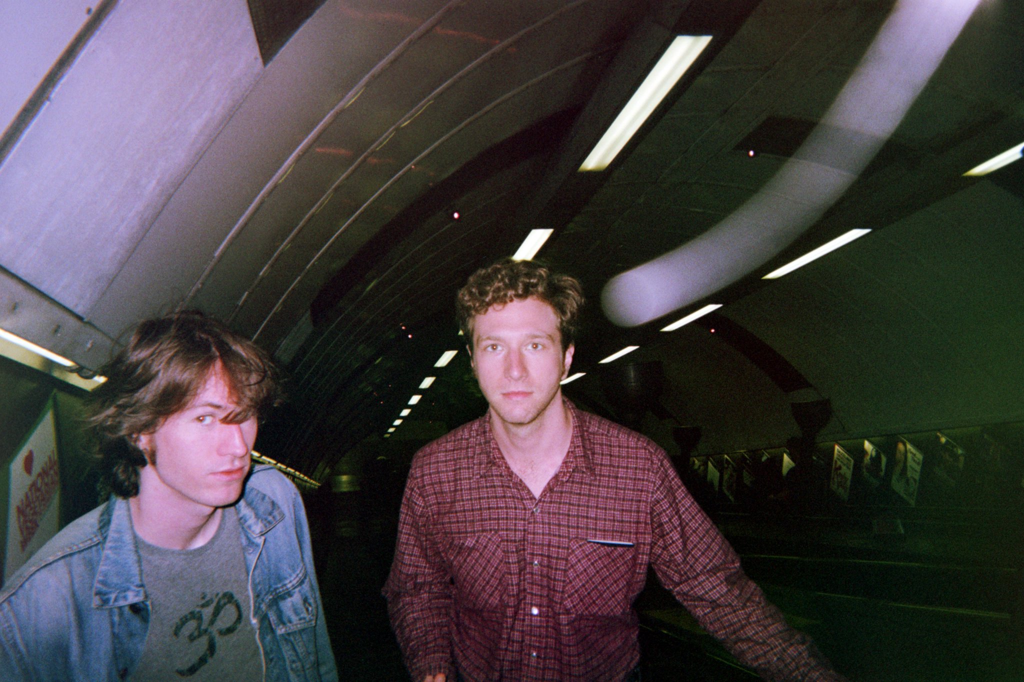 Asset0013 – The Old Grey Cat