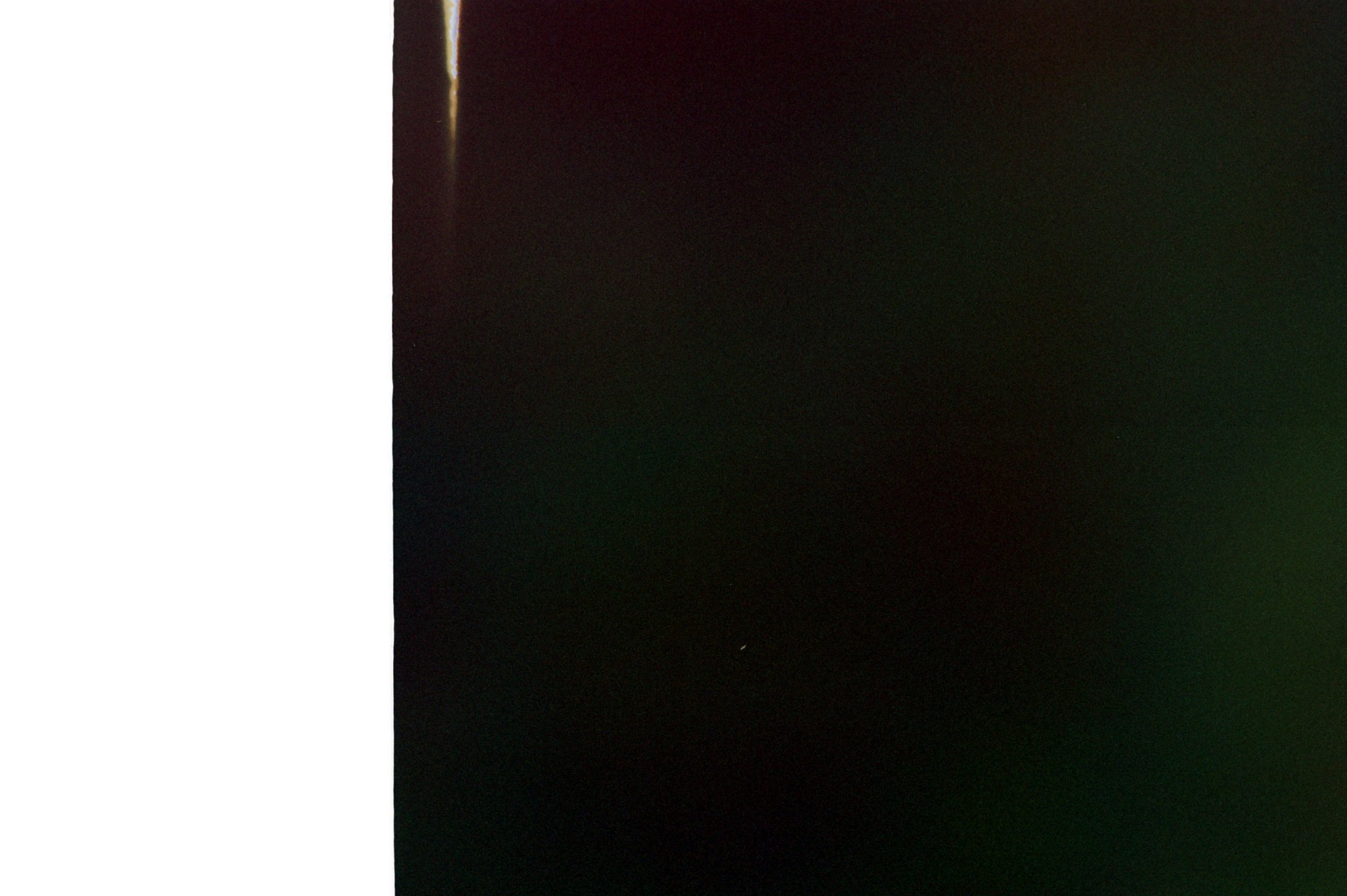 Asset0030 – The Old Grey Cat