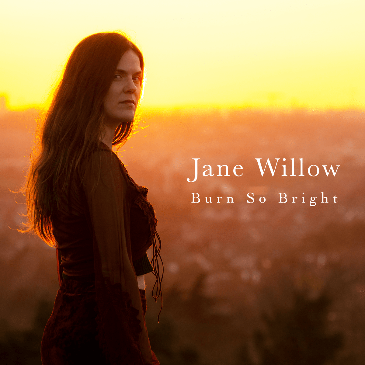 First Impressions: Burn So Bright by Jane Willow – The Old Grey Cat